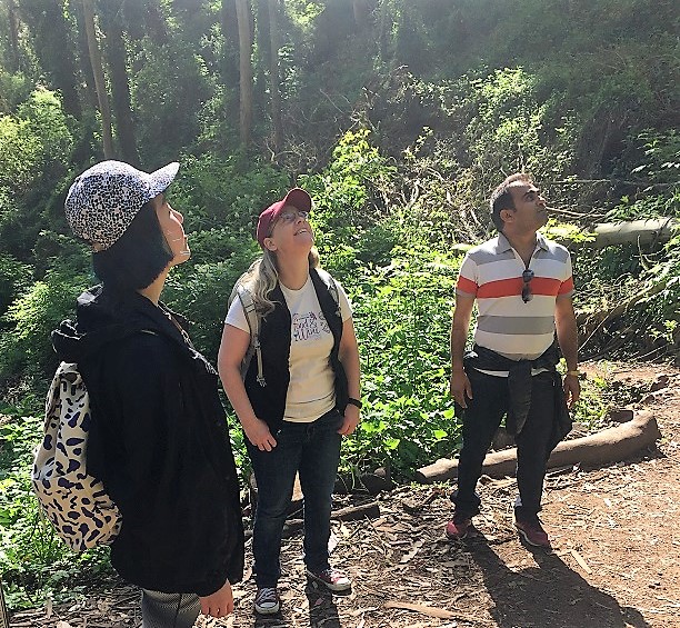 Forest-bathing copyright Julia Plevin sm 2 | Mount Sutro Forest That Was